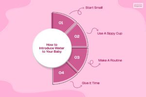 When Can Babies Have Water? Every Parent Needs to Know!